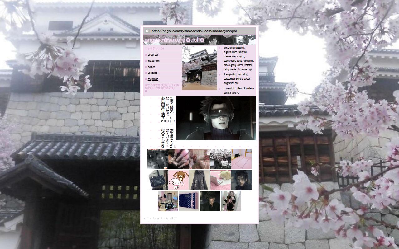 angel sakura doll